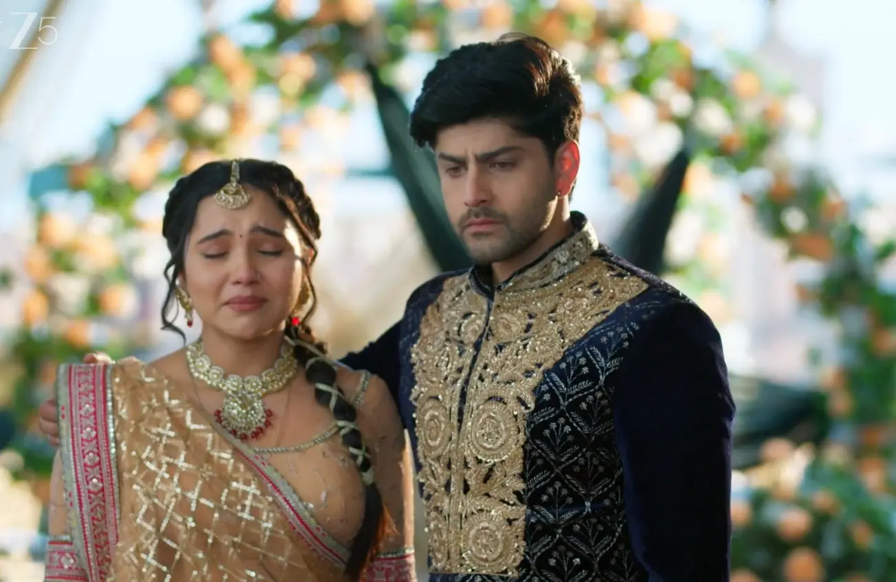 Vasudha 29th November 2025 Written Update: Dev and Vasudha's Homeless Battle - TellyReviews